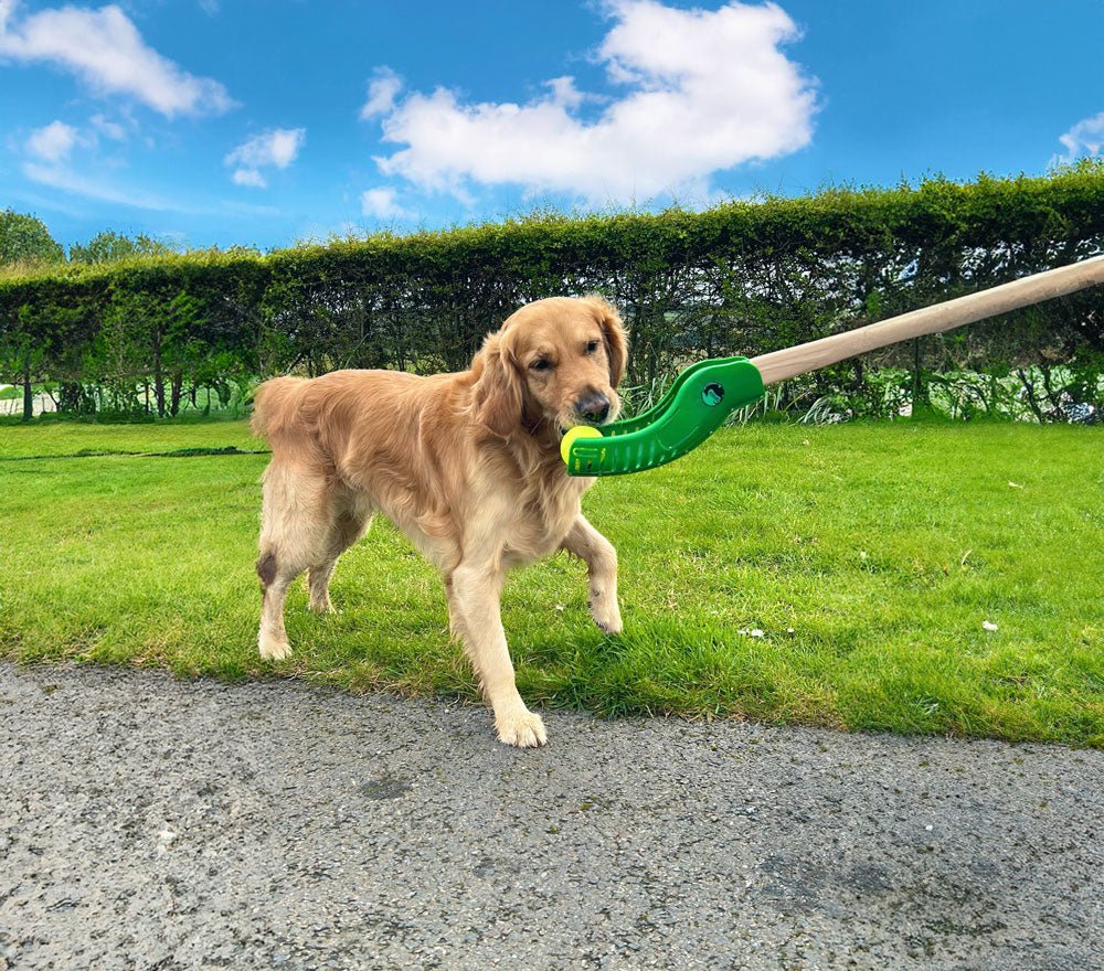 Cubeens for Dogs – CuPooch
