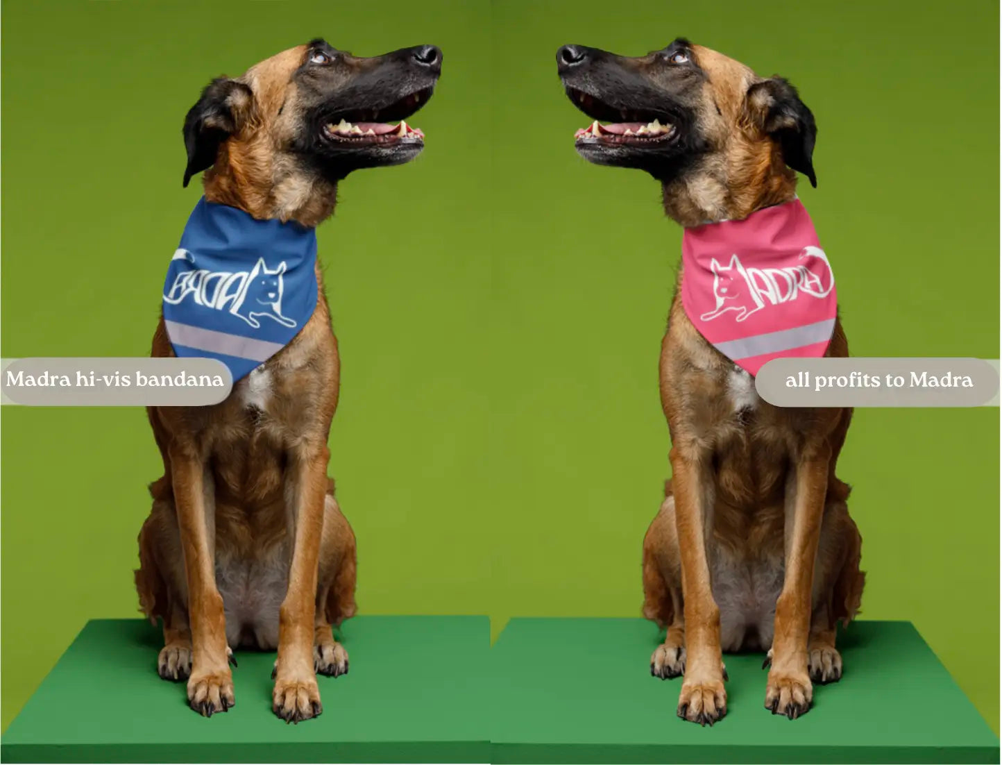 The MADRA Charity Reflective Bandana – CuPooch